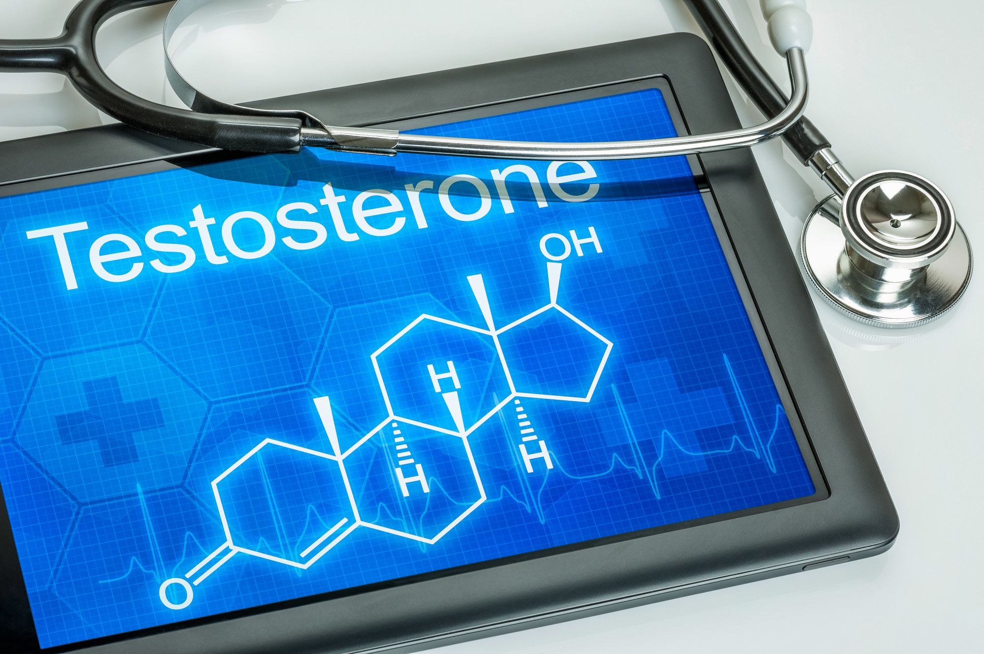 Testosterone Cycle | Everything About Testosterone & Steroids
